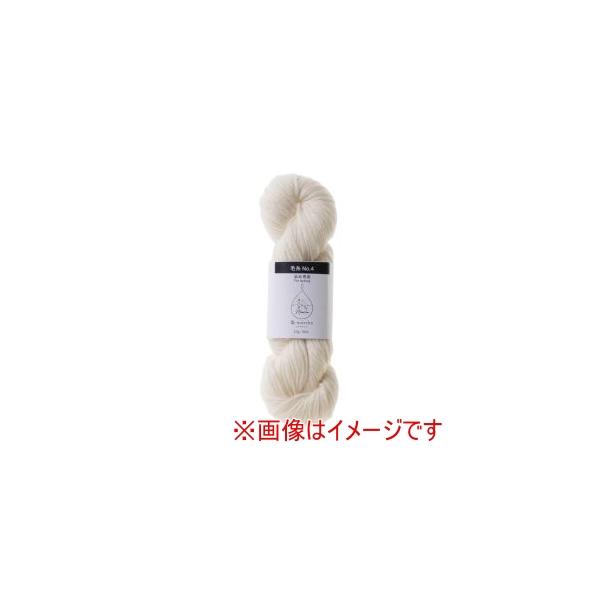 【取寄品 出荷：約5−9日 土日祝除く】染-marcheで毛糸染めを始めるならコレ