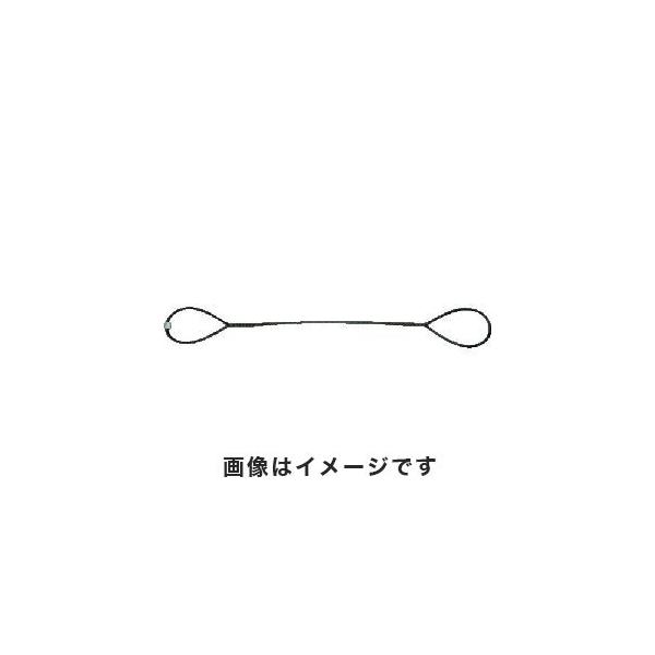 【取寄品 出荷：約2−6日 土日祝除く】【特長】●通常の219条巻差し加工に加え、加工時にフレミッシュ加工(頭割り)を施しており、より安全に玉掛け作業が行えます。●JIS規格適合品ワイヤーロープ使用です。●「労働安全衛生規則第475条及びク...