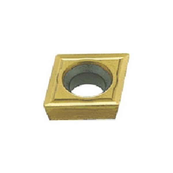 【取寄品 出荷：約2−6日 土日祝除く】チップCOAT