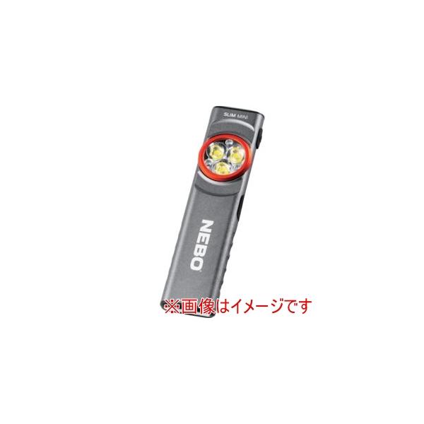 【取寄品 出荷：約2−6日 土日祝除く】明るさ：最大250ルーメンの充電式ミニポケットライト。