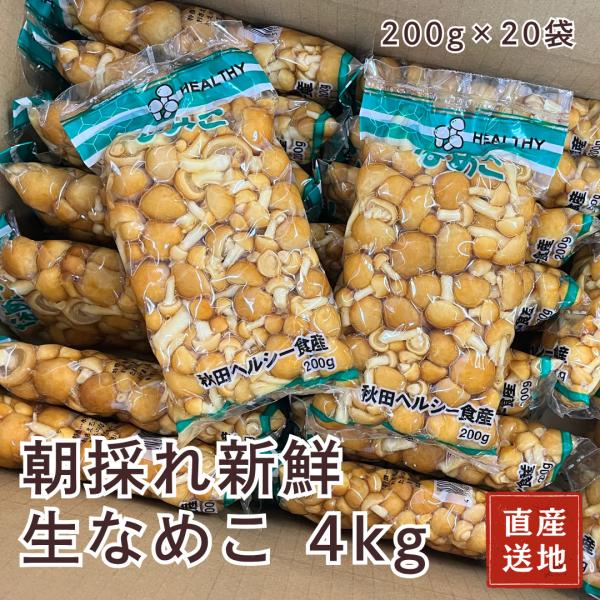 キーワード：なめこ 生なめこ 秋田県産 菌床栽培 朝採り 生 地物 野菜 菌活 腸活 まとめ買い 国産 ギフト お取り寄せ 冷凍保存可能 ヌメ活 夏バテ予防・産地： 秋田県産・内容量：200g×20袋（4kg）・商品形態：冷蔵・配送方法： ...