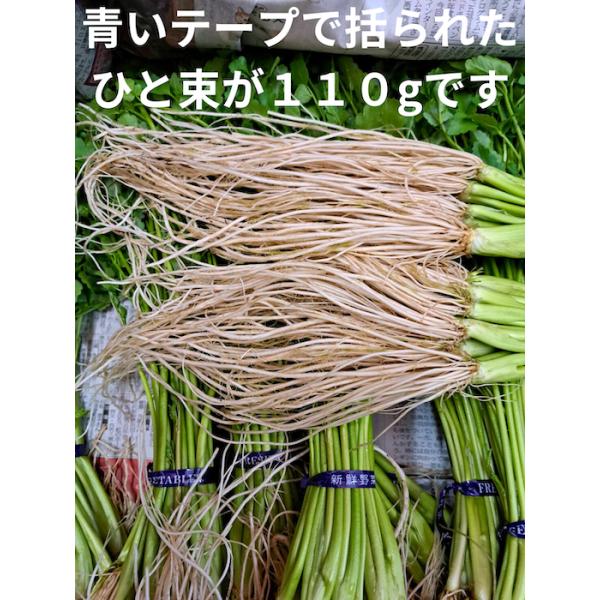 無農薬で育てています秋田県湯沢市の誇る江戸時代から続く伝統野菜、三関せり権現様と呼ばれる東鳥海山からの豊富な伏流水で育つ三関せりは根っこが長くて香りが良いのが特徴ですこの根っこは寒い程長くなり、茎と根っこの部分に栄養が多く集まりますだから根...