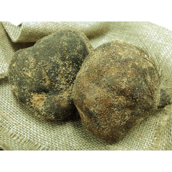 【発売日：2024年11月28日】山の芋をすりおろすと、お箸で持ち上げられるほどの強い粘り。つくね団子をつくる要領でお鍋に入れていただきます。作り方（リンク先は秋田黒猫屋のブログ）■お醤油仕立て：https://akitakuronekoy...