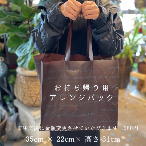 35ｃｍ*21ｃｍ*高さ31ｃｍ