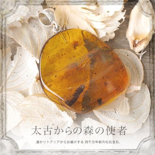 琥珀の中に、おそらくイモムシ・クモ目クモ・クロバネキノコバエ・蟻と思われる昆虫と有翅昆虫・木々の欠片が内包されている。今にも動きだしそうな様子なほど躍動感あるムシ達の様子を観察する事ができる。脚の節々や、表情まで楽しめる逸品。ここまで内包さ...