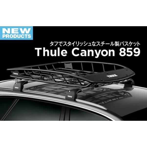 859xt thule カーキャリアの人気商品・通販・価格比較 - 価格.com
