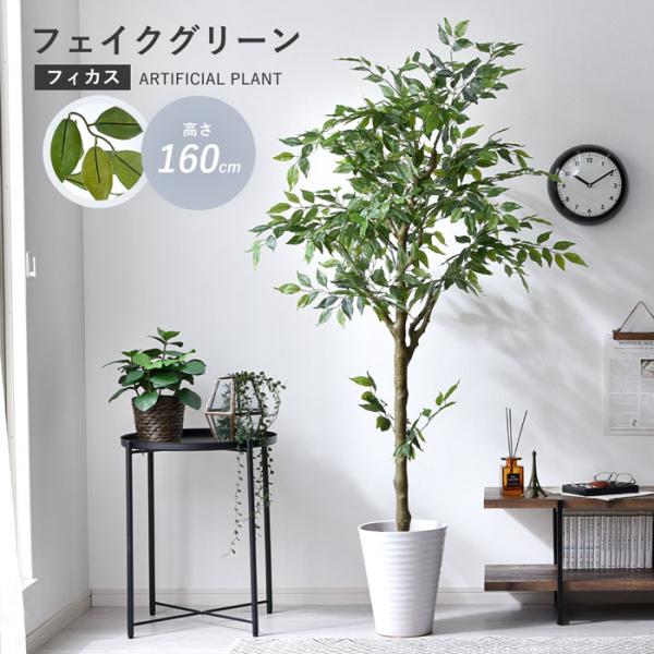 ■商品名フェイクグリーン フィカス 160cm 大型 ジョイント プランフ■商品仕様葉：ポリエチレン/スチール幹：ポリエチレン/スチール鉢：セメント/発泡スチロール/石/ポリプロピレン■商品サイズ（約）幅70cm×奥行き75cm×高さ160...