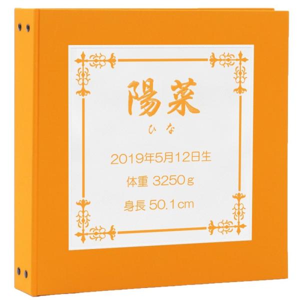 お名前 イニシャル 誕生日 身長 体重 手形 足形 命名書 ファーストアルバム レフィルが追加できる l 2l 6切 フリー台紙可愛い かわいい 出産祝い プレゼント 書き込み 記録 刺繍 シンプル 台紙 コメント 名前入り 収納 整理 簡...