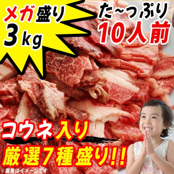 キャンプに最適な特選7種焼肉セット！アウトドア、自宅焼肉、バーベキューと用途はいろいろ。■特選7種 焼肉セット 3kg ■コウネ300g牛肩ロース200g豚バラ400g鶏肩肉300g牛ホルモン400g特製ソーセージ400g牛バラ500g×2...
