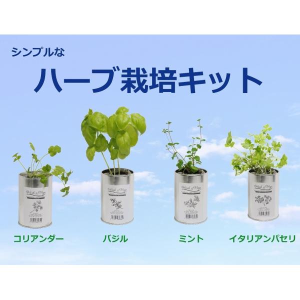 シンプルなデザインで人気の４種類のハーブをご用意しました！シンプルなパッケージで簡単に育てられるハーブの栽培キットです。キッチンなどで育ててお料理に使ったりできます！復活のペパーミント、人気急上昇のコリアンダー、不動の人気のバジル、あると便...