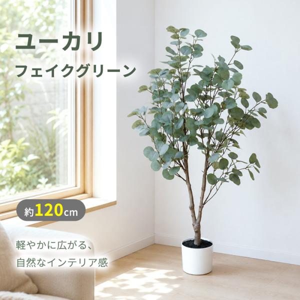 【本物のような質感を再現したユーカリ人工観葉植物】丸みのあるユーカリの葉形と落ち着いたグリーンカラーを再現したフェイクグリーン。自然な風合いと清潔感のあるデザインで、リビングや玄関、寝室、デスク周りなどのインテリアに馴染み、置くだけで爽やか...