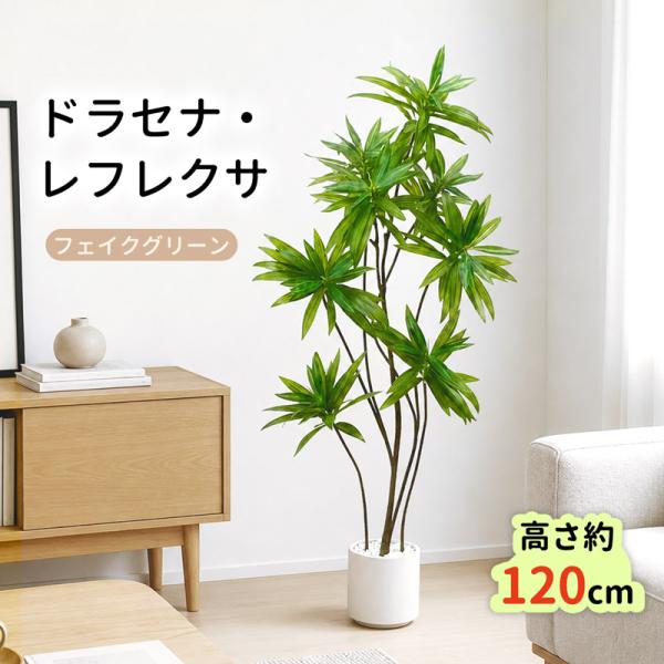 【本物そっくり】アオイ科の常緑性の樹木で、手を広げたような５枚の葉が特徴です。プラスチック製ですが、遠くから見たら本物と見間違う程のリアル感！色や質感を再現できる程の自信のある高いクオリティー。【簡単な手入れ】フェイクグリーンなので、お手入...