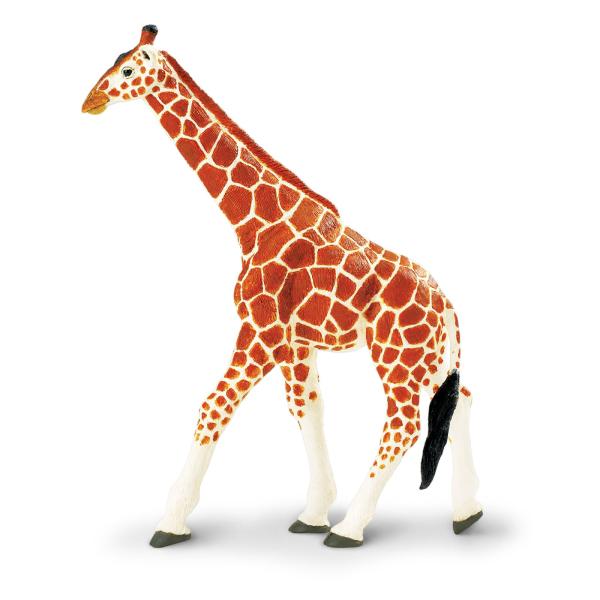 商品名: サファリ ワイルドライフワンダーズ アミメキリン Safari Ltd. Reticulated Giraffe Figurine - Detailed 9.5" Plastic Model Figure - Fun Educat...