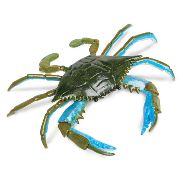 商品名: Safari Incredible Creatures (インクレディブル クリーチャーズ) ワタリガニ 269729 Safari Ltd. Blue Crab Figurine - Realistic 7" Model Fig...
