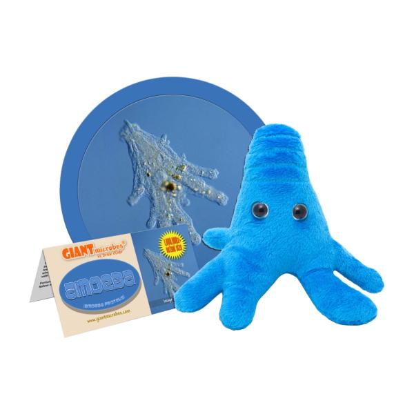 商品名: (BLUE) - Giant Microbes Amoeba Blue Plush GIANTmicrobes Amoeba Plush ? Learn About Nature and Biology with This Cud...