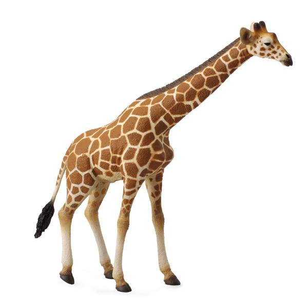 商品名: COLLECTA Collcta アミメキリン 17cm×16.5cm 88534 CollectA Wildlife Reticulated Giraffe Toy Figure - Authentic Hand Painted...