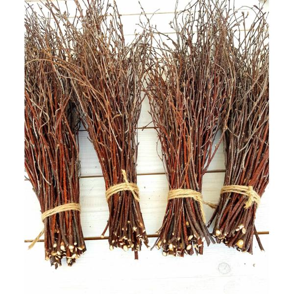商品名: 200ピース 100%天然の樺の小枝 センターピース用 クラフト用 4バンドルセット [ECOWOODDECOR] 花瓶のデコレーションに DIY ウェディングデコレーション 樺の小枝 200 pcs. 100% Natural ...