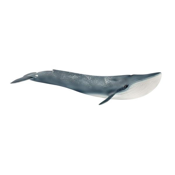 商品名: シュライヒ(Schleich) ワイルドライフ シロナガスクジラ フィギュア 14806 Schleich Wild Life Realistic Blue Whale Figurine - Authentic and Highl...