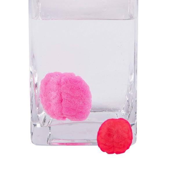商品名: Grow With Water Brains (36個セット)楽しいハロウィン、ゾンビ、科学教室用おもちゃ Grow With Water Brains (bulk set of 36) Fun Halloween, Zombie...