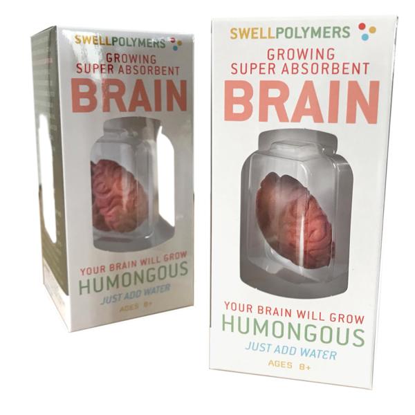 商品名: コペルニクスは脳を育てます | 水に加えるだけ。 Growing Super Absorbent Brain | Your Brain Will Grow Humongous | Just Add to Water | Coper...