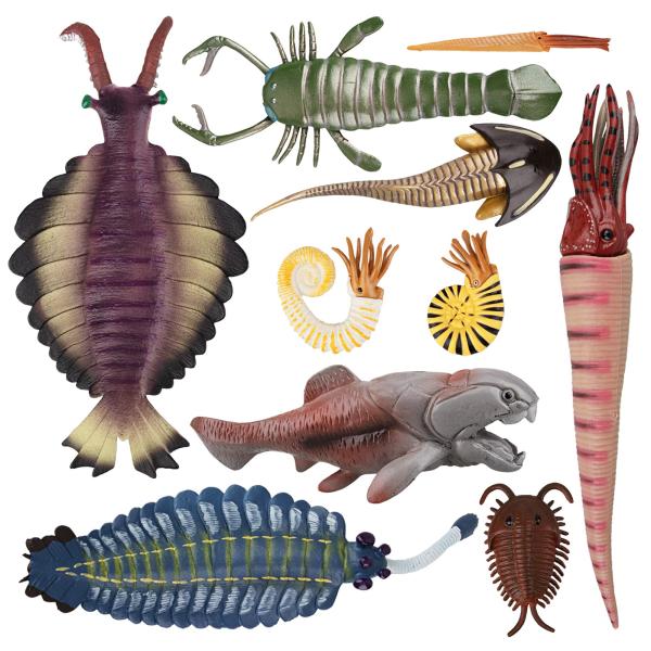 商品名:  Toymany 10PCS Ancient Marine Creatures, Cambrian Sea Animal Figurines, Dunkleosteus, Cephalaspis, Opabinia, Prehis...