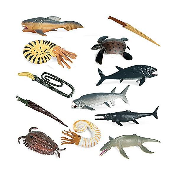 商品名: EOIVSH 先史時代のカンブリア紀の海の動物のおもちゃ 12ピース 古代海洋動物フィギュア ミニチュアおもちゃ ケーキトッパー 海洋動物の置物 子供 幼児 EOIVSH Prehistoric Cambrian Sea Anim...