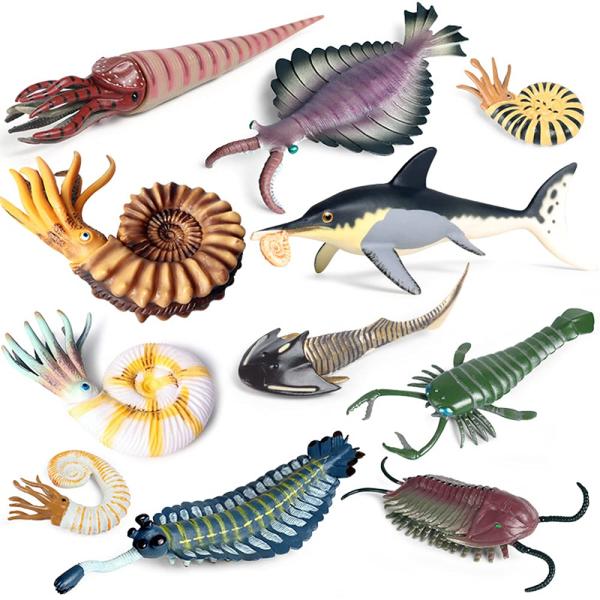 商品名: 11ピース 先史時代の海の生き物のおもちゃ 古代カンブリア海洋動物の置物 プラスチック 知育 海洋動物フィギュア ケーキトッパー 学校プロジェクト 学習玩具 RCOMG 11PCS Prehistoric Sea Creature...