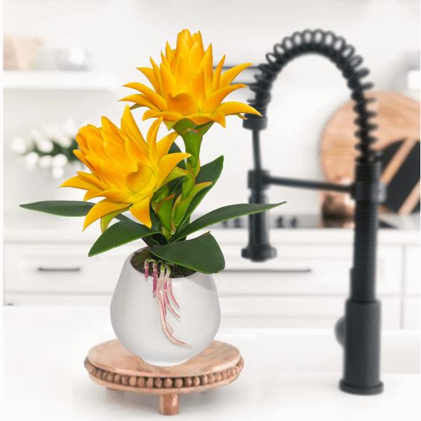 商品名:  BINFEN Yellow Potted Bromeliad Artificial Flower - Aesthetic Fake Plant for Home, Office, Bathroom and Shelf Decor...
