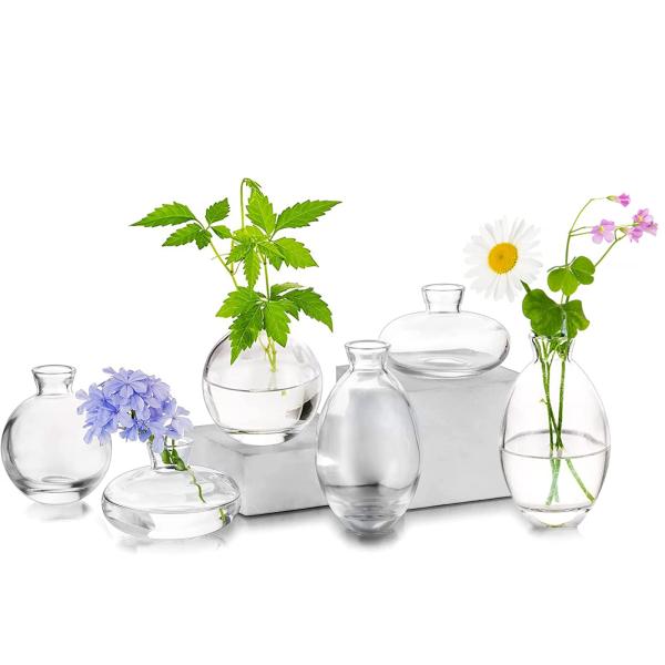 商品名: Hewory ガラス製のつぼみ 花瓶 6個セット かわいい透明の小さな花瓶 ハンドメイド ミニガラス製 フラワーアレンジメント ウェディングパーティー イベント ホーム オフィス テーブル装飾 (花は含まれません) Glass B...