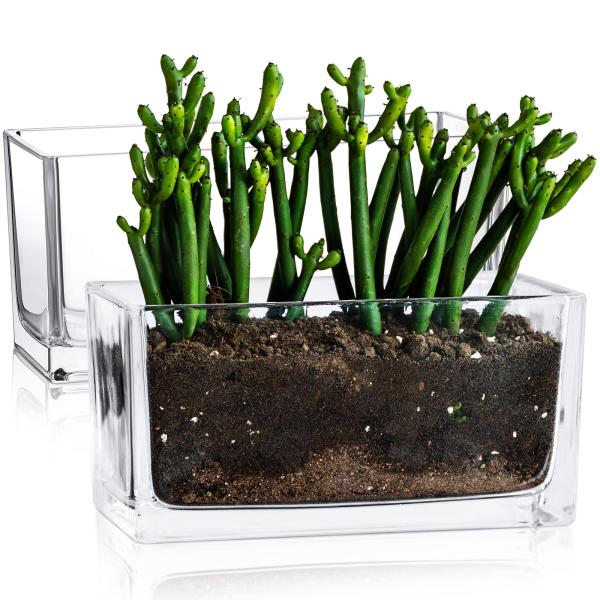 商品名:  2 Pcs Rectangular Flower Glass Vase Clear Glass Planter Decorative Centerpiece Glass Rectangle Vase Planter Box Ob...
