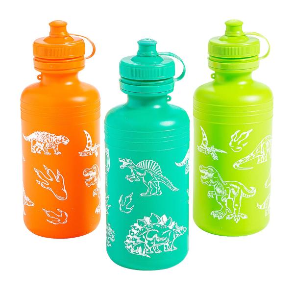 商品名:  Fun Express 12 Pieces Dinosaur Plastic Water Bottles, Each Holds 18 oz, BPA Free Plastic, Dinosaur Themed Party Su...