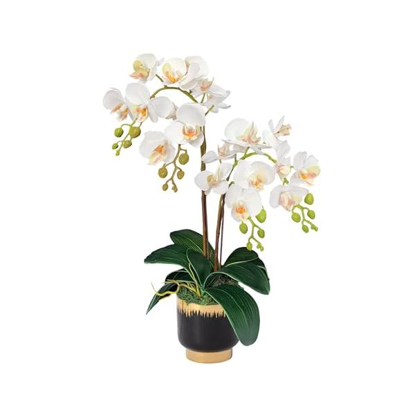 商品名: ホワイトオーキッド 家庭用 リアルな胡蝶蘭 鉢植え Saxili Artificial Orchid Plant Bonsai，Real Touch Faux Phalaenopsis Orchid, Fake Orquideas...