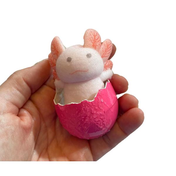 商品名:  1 Random Color Hatch and Grow an Axolotl Egg - Add Water and it Grows up to 4" - Sea Critter Toy Fun Science Expan...