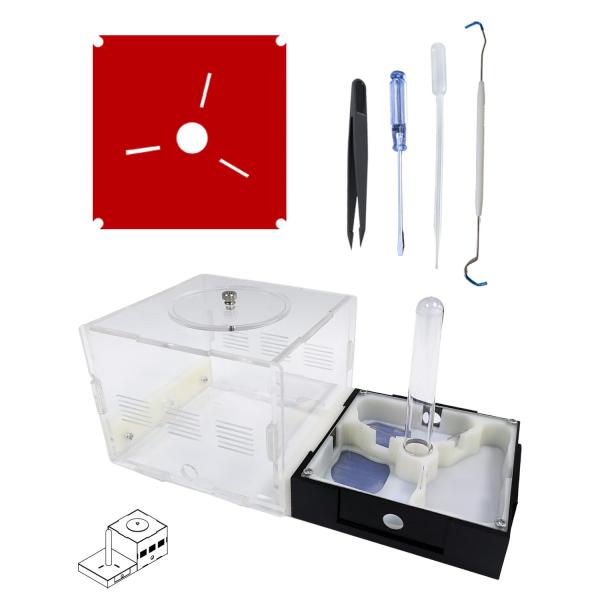 商品名: アリの足跡 アリ農場の巣 生きているアリ教育用 STEM科学学習キット 給水塔育成室と包括的な観察付き 魅力的なアリの世界を探索(1) Ants Footsteps Ant Farm Nest, Science Learning ...