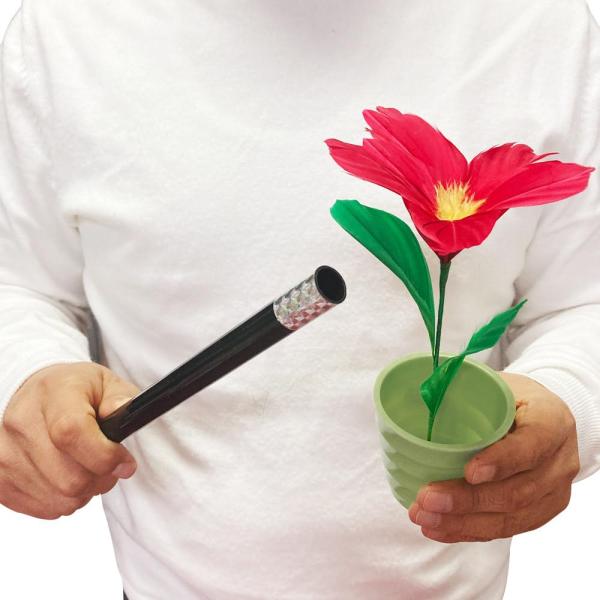 商品名:  Feather Bouquet Magic, Appearing Flower Trick - A Bouquet Appears from Thin Air, Wands, Simple Magic Techniques, T...