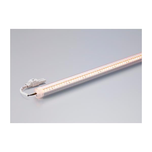 メーカー：     DNL     / DNライティング　 (旧ダイア蛍光 DAIA 旧ニッポ電機 NIPPO)シリーズ名：軒下用LEDモジュール CLED2-WP※直射日光のあたる場所では使用しないでください。器具の発熱や劣化、LEDの短...