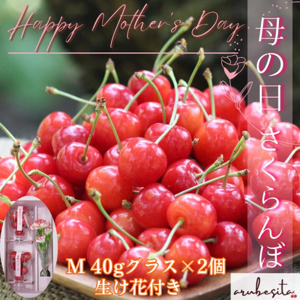 【母の日さくらんぼ】大切なお母様への贈り物に、特別なさくらんぼをご用意いたしました。母の日のために丁寧に育てられたハウスさくらんぼを厳選し、一粒一粒心を込めて丁寧にお詰めいたします。甘さと程よい酸味のバランスが整ったさくらんぼ。豊かな味わい...