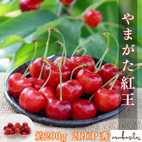 紅王（べにおう）は、「やまがた紅王」とも呼ばれ、山形県で開発されたさくらんぼです。自然豊かな山形で生まれ、規格外の大きさで話題の紅王は、食べる前から期待が膨らむさくらんぼです。収穫期は佐藤錦と紅秀峰の間くらいになります。しっかりとした果肉と...