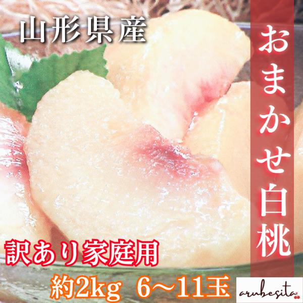 夏の白桃といえば８月前半のあかつきなどとろける桃の季節です。とても甘く程よい酸味で口の中でとろけ、果汁が溢れだし至高の味が楽しめます。秀品規格に外れた桃（色ムラ、傷、変形等）を大特価でご提供します。夏の暑い時期に癒される香りと甘みをぜひご堪...