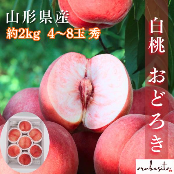 【おどろき】とても惚れ込み２０年以上販売してきましたが、ここ数年とても大人気の桃になりました。 固い桃がお好きな方にぴったりの桃普通は収穫から日数が経ちますとやわらかくなってきますが、この桃は、ず〜っと固いままの桃です。地元でも固めの桃がお...