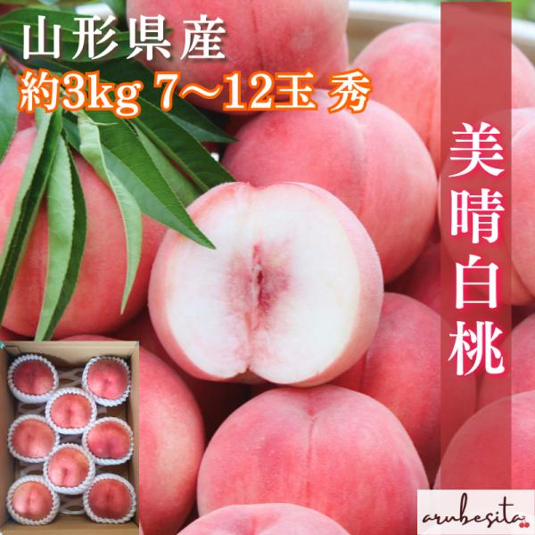 「美晴白桃」肉質がしっかりとしており、歯ごたえの良い食感が特徴の白桃です。上品ですっきりとした甘さと爽やかな香りを楽しめ、日持ちにも優れているため、固めの桃がお好きな方に人気があります。食感は「おどろき」に近いしっかりとした硬さがありますが...