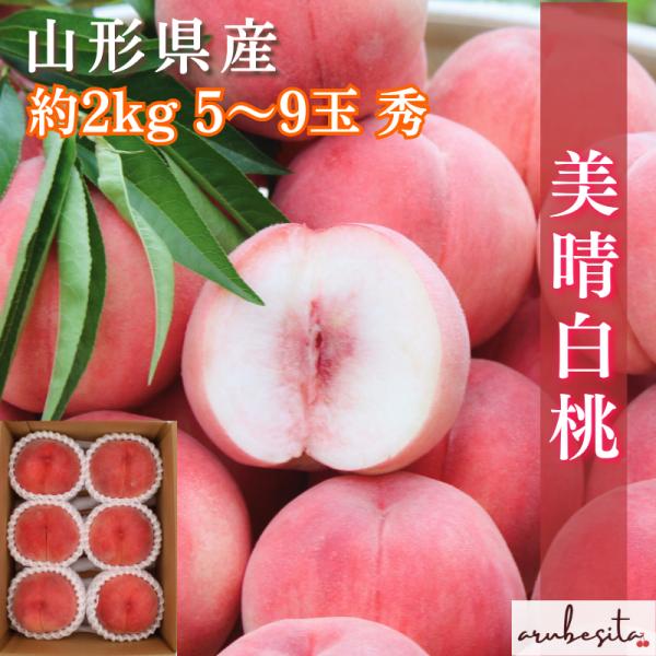 「美晴白桃」肉質がしっかりとしており、歯ごたえの良い食感が特徴の白桃です。上品ですっきりとした甘さと爽やかな香りを楽しめ、日持ちにも優れているため、固めの桃がお好きな方に人気があります。食感は「おどろき」に近いしっかりとした硬さがありますが...