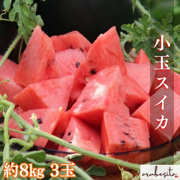 夏になれば、猛暑となります。日中は暑く、朝晩に急激に冷え込んでいきます。太陽の光をさえぎるものがなく、しっかりと太陽の光を十分に浴び、夜の冷え込みによってシャキッと実がしまり、濃厚な旨さに仕上がります。小玉スイカは冷蔵庫にすっきり入ります。...