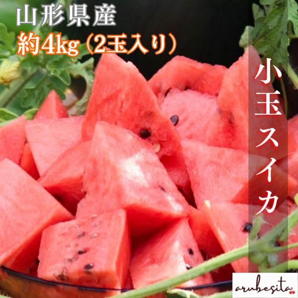 夏になれば、猛暑となります。日中は暑く、朝晩に急激に冷え込んでいきます。太陽の光をさえぎるものがなく、しっかりと太陽の光を十分に浴び、夜の冷え込みによってシャキッと実がしまり、濃厚な旨さに仕上がります。小玉スイカは冷蔵庫にすっきり入ります。...