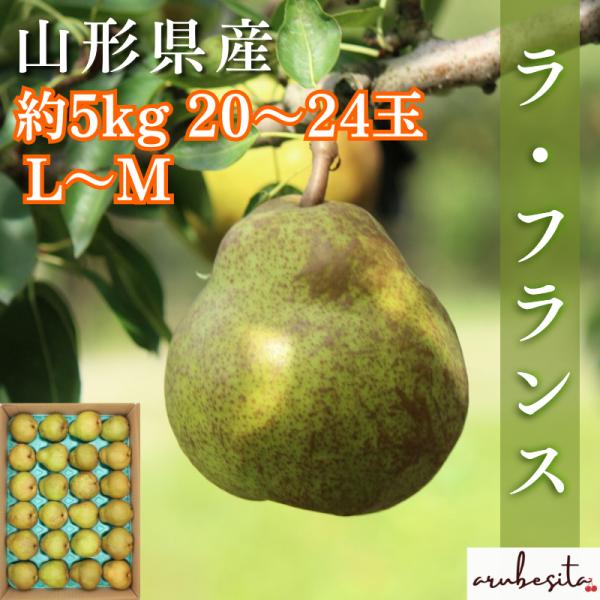 当店の人気商品　ラフランス！とろっとする滑らかな舌触りが特徴です。専門の冷蔵庫に入れ、予冷を行い、追熟させますその後、お客様へお届けします食べごろになると香りが広がり、とろける食感に癒されます太陽をいっぱい浴びるように無袋栽培を行っています...