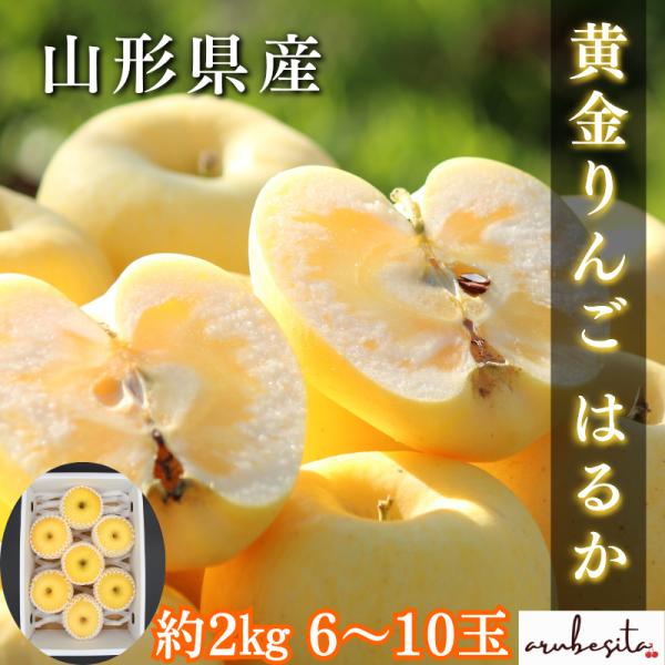 当店一押しの黄金りんご【はるか】栽培が難しく、良い品質のりんごを作るのが大変な希少品種です。当店のはるかは、独自に試行錯誤を重ねた袋かけを行うことで、見た目、美味しさを追求したより良いりんごに仕上げる農家限定品当店の農家のはるかは香りがても...