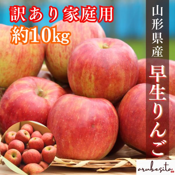 りっぱな贈答品は高い！でもりんごは毎日たくさん食べたい！そんな方にお勧めがこちら！！【訳あり】家庭用早生りんご　たっぷり約10kg日中の寒暖差が大きく、土壌が重粘土質のため、良いリンゴができますみずみずしさと、酸味、甘みのバランスが最高♪濃...