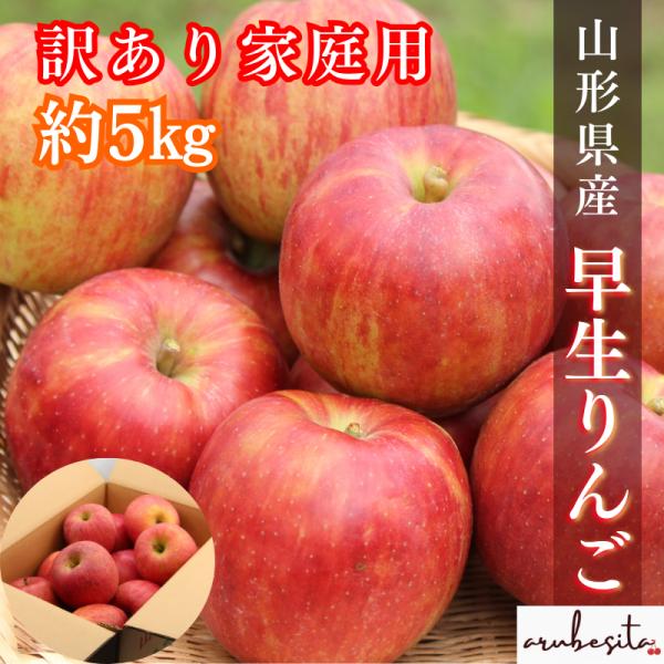りっぱな贈答品は高い！でもりんごは毎日たくさん食べたい！そんな方にお勧めがこちら！！【訳あり】家庭用早生りんご　たっぷり約5kg日中の寒暖差が大きく、土壌が重粘土質のため、良いリンゴができますみずみずしさと、酸味、甘みのバランスが最高♪濃厚...