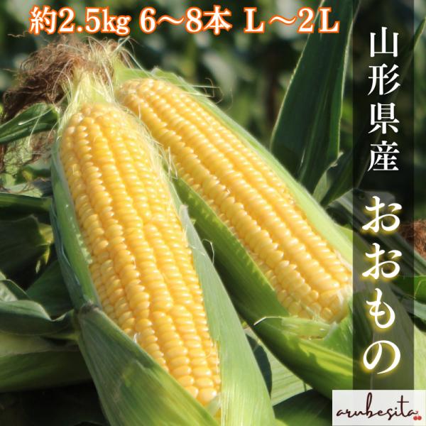 フルーツコーンとうもろこし「おおもの」糖度が高く、極上の甘さと、ジューシーな食感が特徴です。粒は薄皮で柔らかく、まるでフルーツのような甘さ。水洗いして茹でずに生のまま食べてもおいしいです。朝露の消えない早朝に収穫したとうもろこしをすぐに選別...