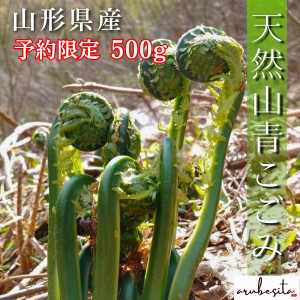 山菜のなかでとても人気のある天然の青こごみ当店の青こごみは山の奥に入り源流の湿潤な場所で採取します。太めの青こごみを雪解けに採取します。山のミネラル豊かな土壌と清らかな沢の水が育む青こごみは、新鮮そのもの。シャキシャキした食感にほのかなヌメ...